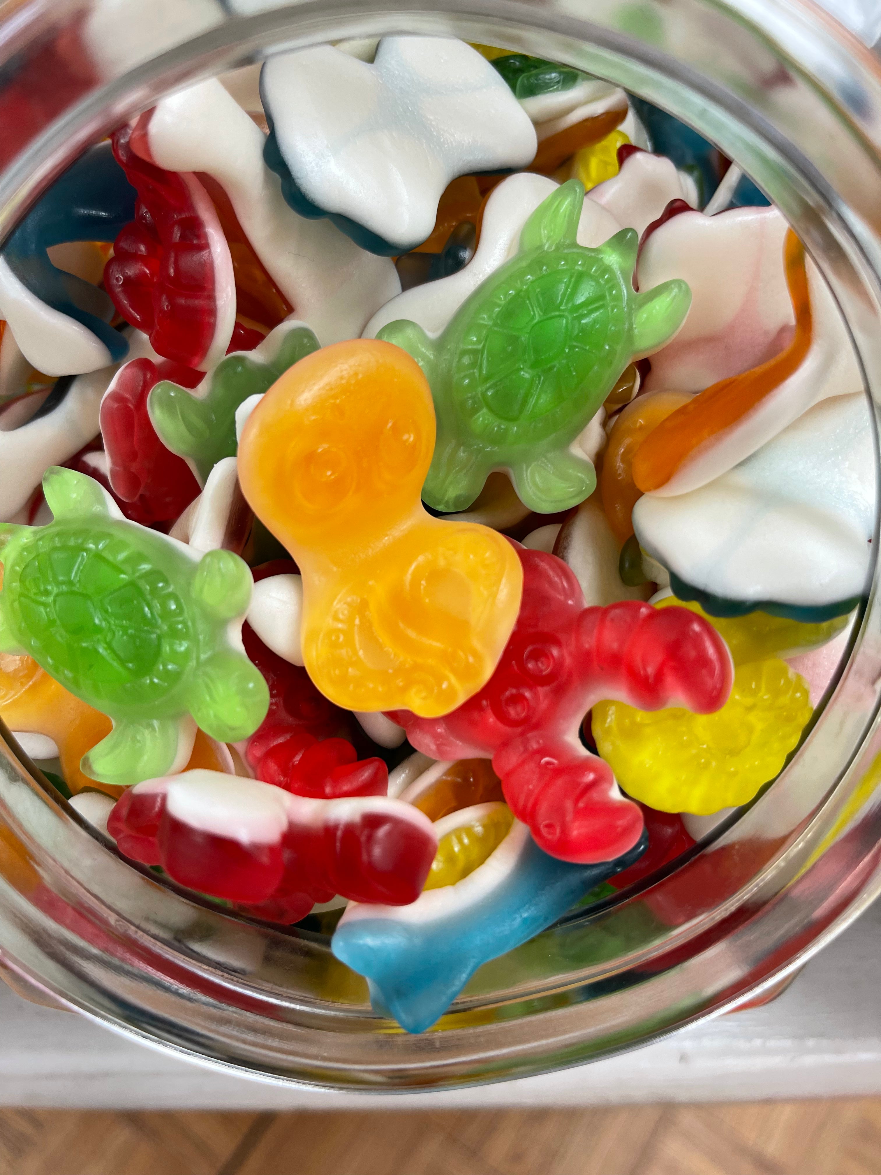 Gummy Sea Creatures 1 LB – Life is Sweet Candy Store